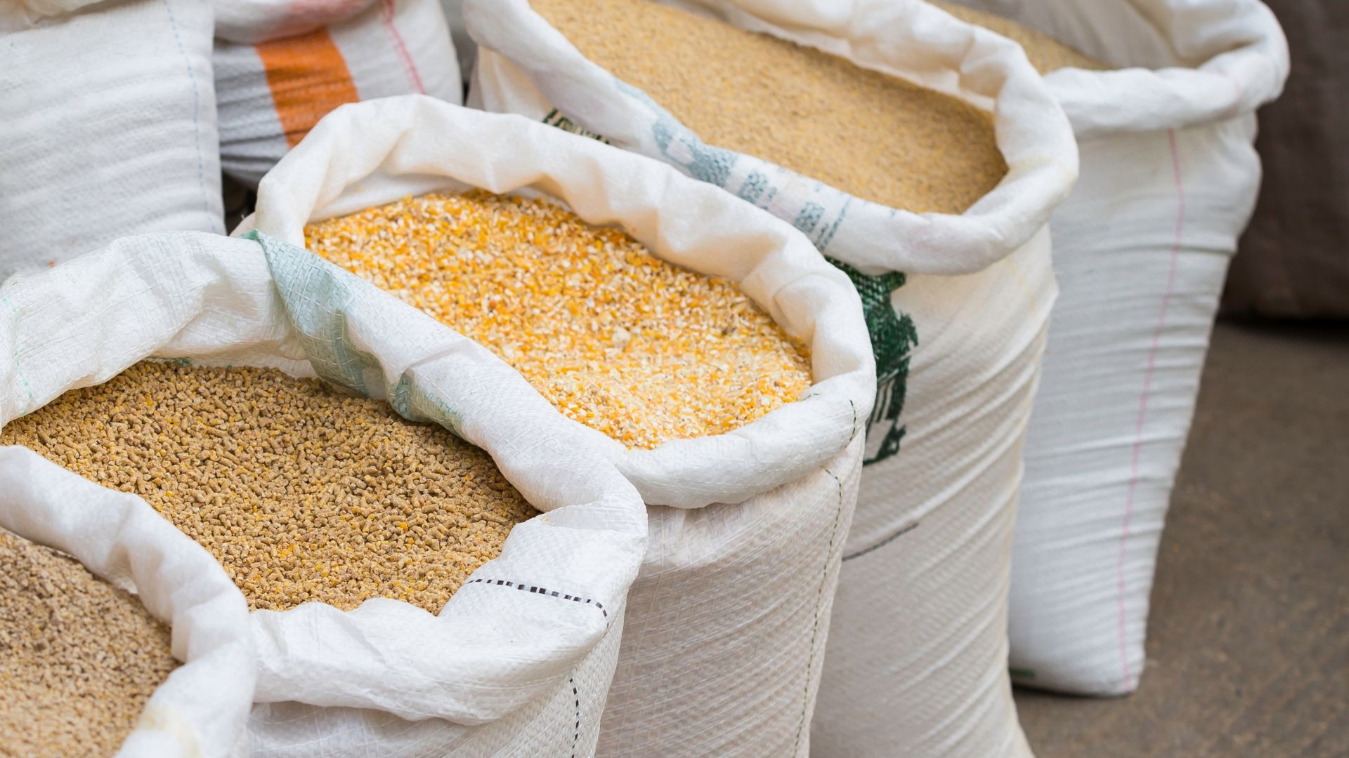 Mesin Coding Karung Pakan Ternak Otomatis